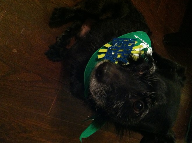 Fuzzy Birthday Greetings – Small, but valuable.